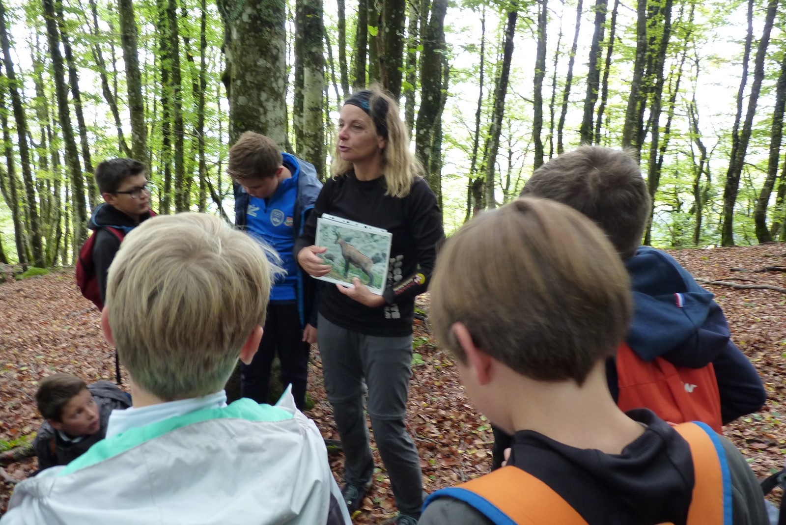 Sortie scolaire - Sorties de Routes